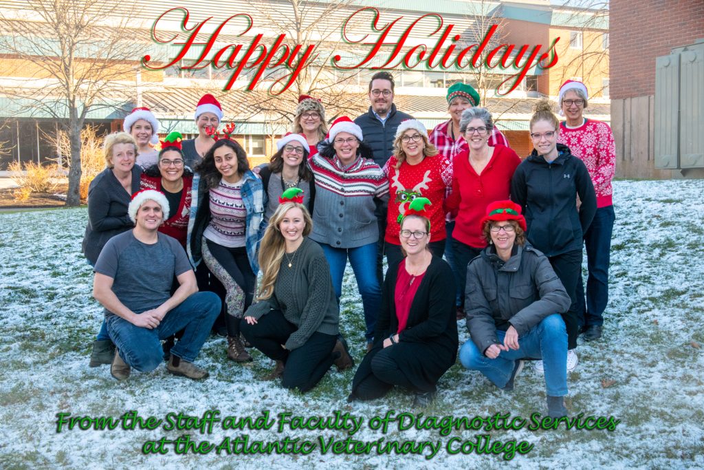 Home - Veterinary Diagnostic Services Laboratory | UPEI